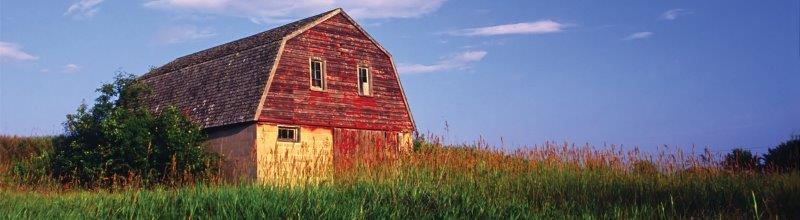 Burial Vault Personalization | Burial Vault Customization